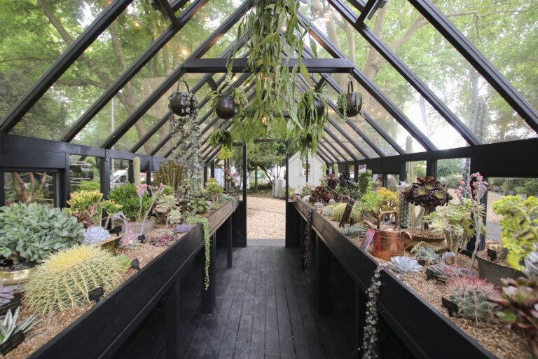 Houseplant Studios at RHS Chelsea Flower Show